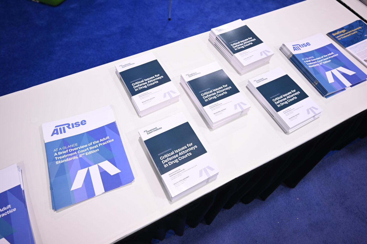 RISE24 Recap - RISE Conference